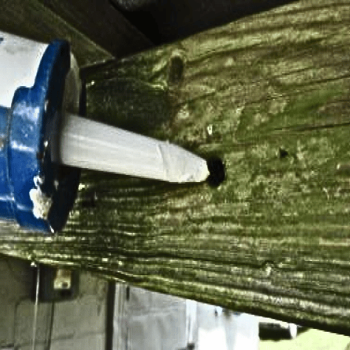 How To Protect Wood Siding From Carpenter Bees