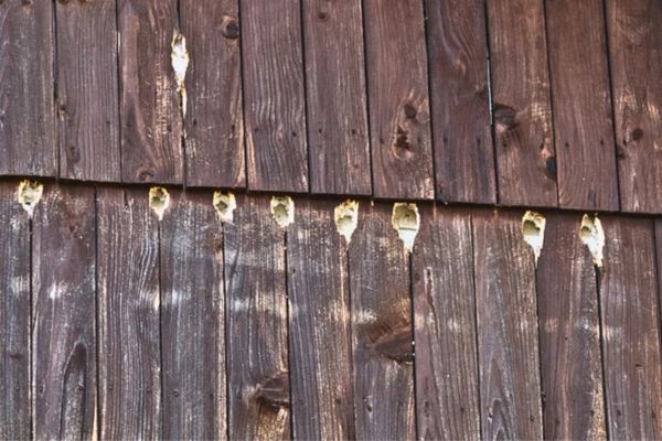 The Ultimate Guide to Summer Wood Siding Maintenance